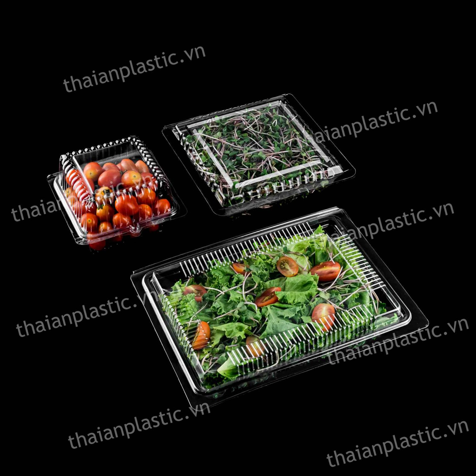 TA01 – thaianplastic