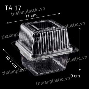 TA17 – thaianplastic